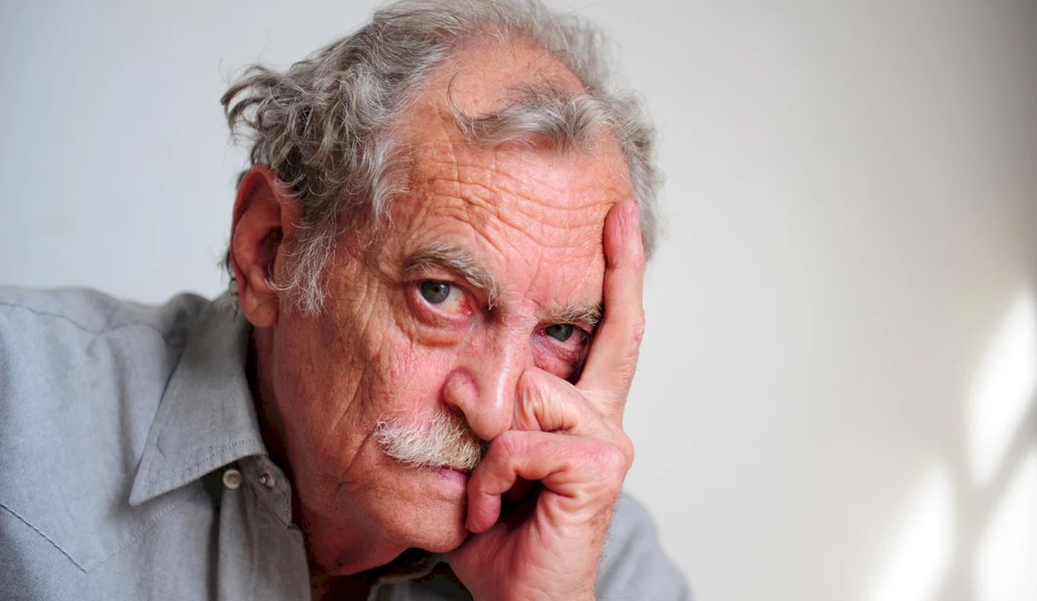 Máquina Fogwill ~ Revista Carátula